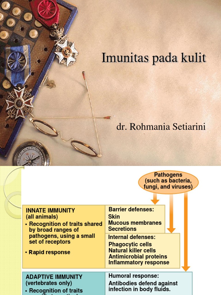Imunitas Pada Kulit | PDF | Innate Immune System | Immune System
