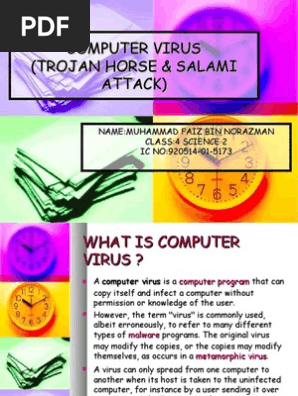 Salami Attack In Computer Security