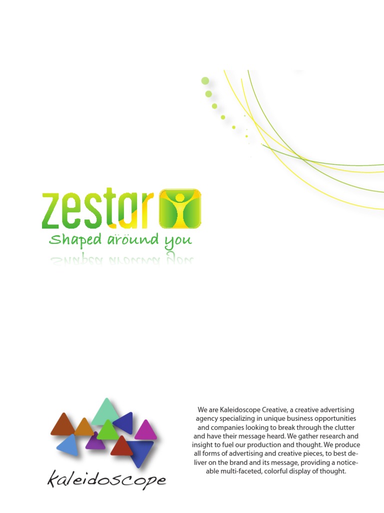 Zestar Plan Book FINAL | PDF | Social Media | Popular Culture & Media ...