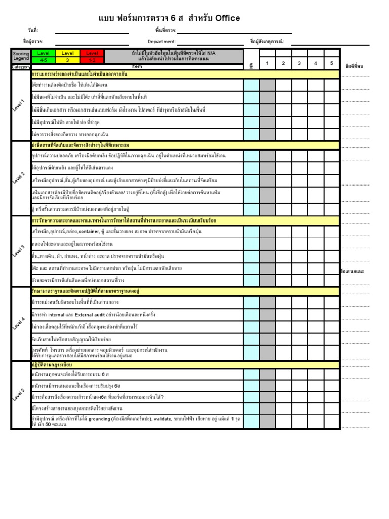6s Audit For Office New | PDF