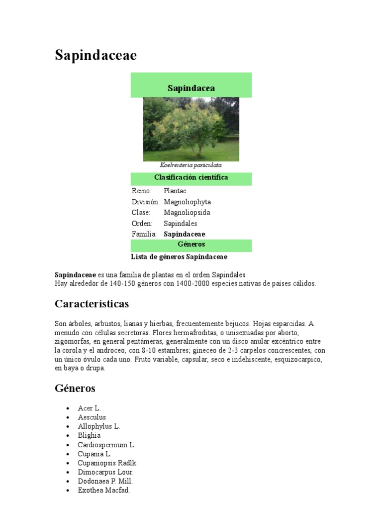 Sapindaceae | PDF
