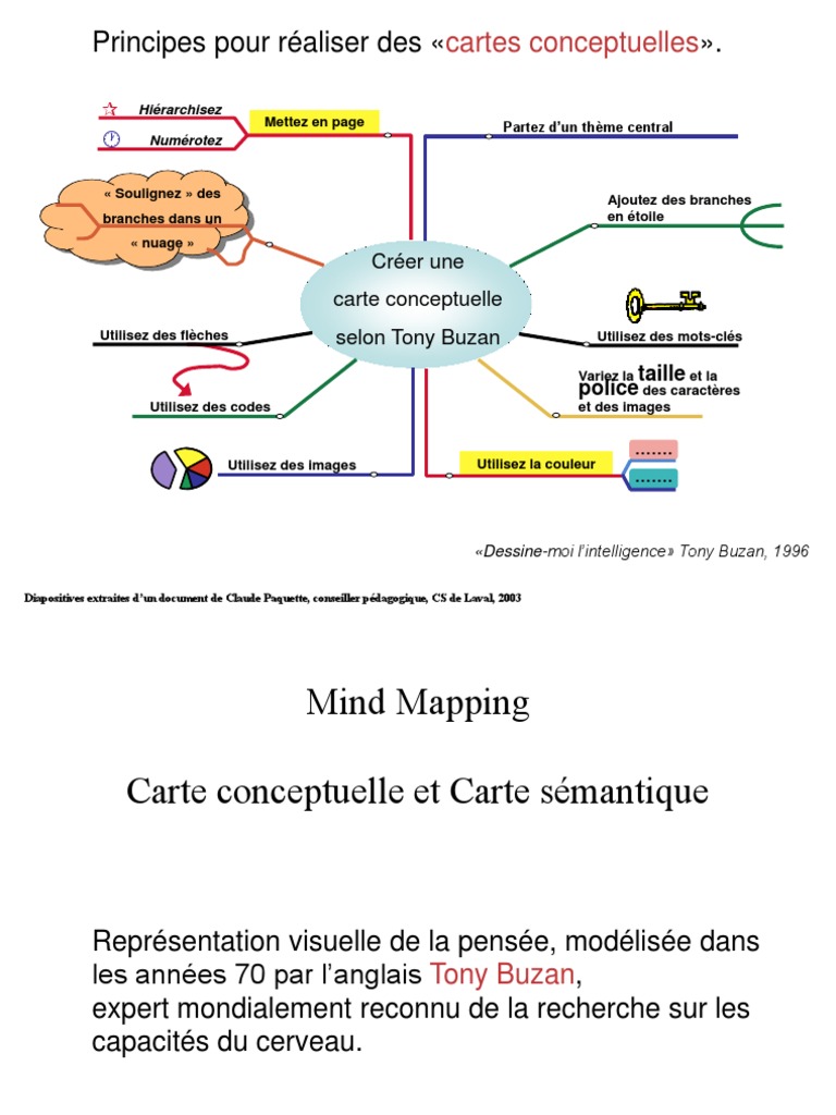Carte Conceptuelle | PDF | Neuroscience | Évaluation neuropsychologique