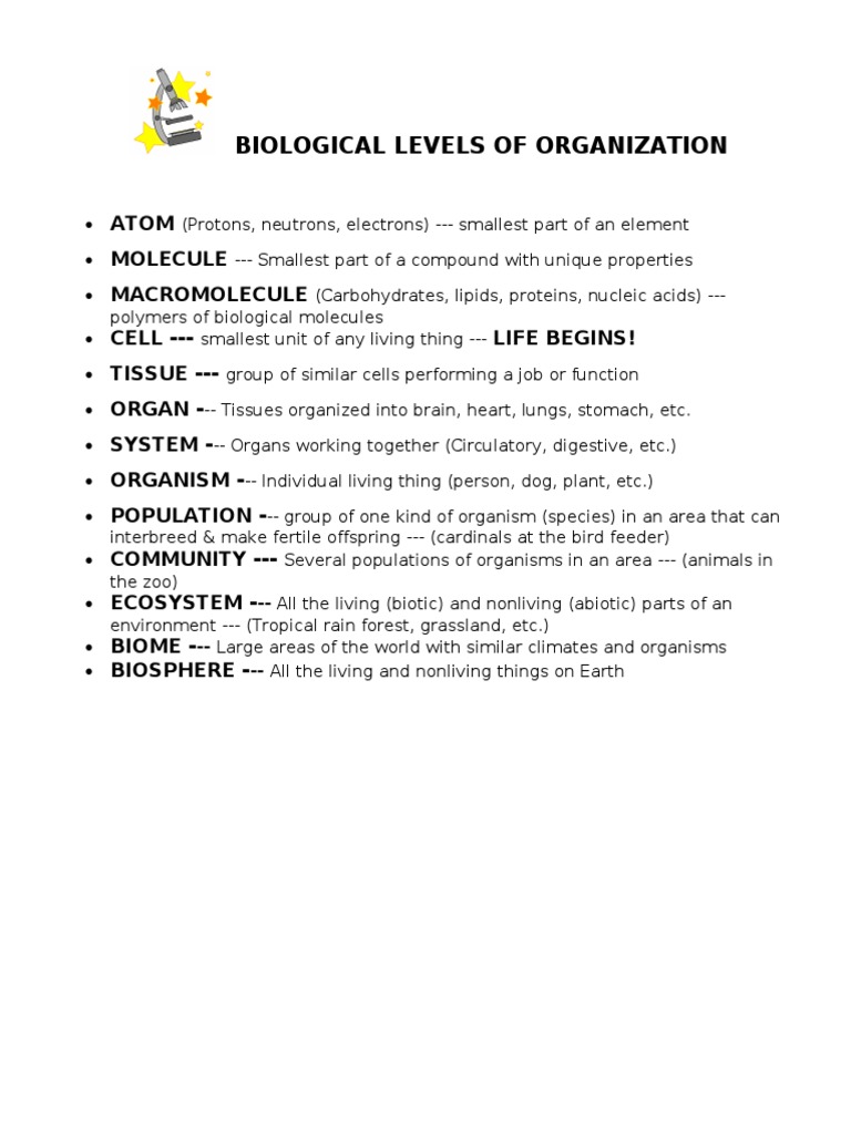 Biological Levels of Organization | PDF | Wellness | Science & Mathematics