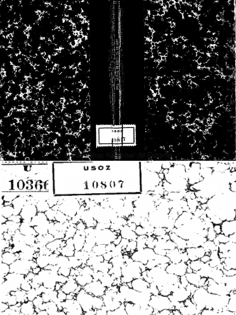 Siglo XV, Año de 1430 | PDF | Inquisición española | Biblia