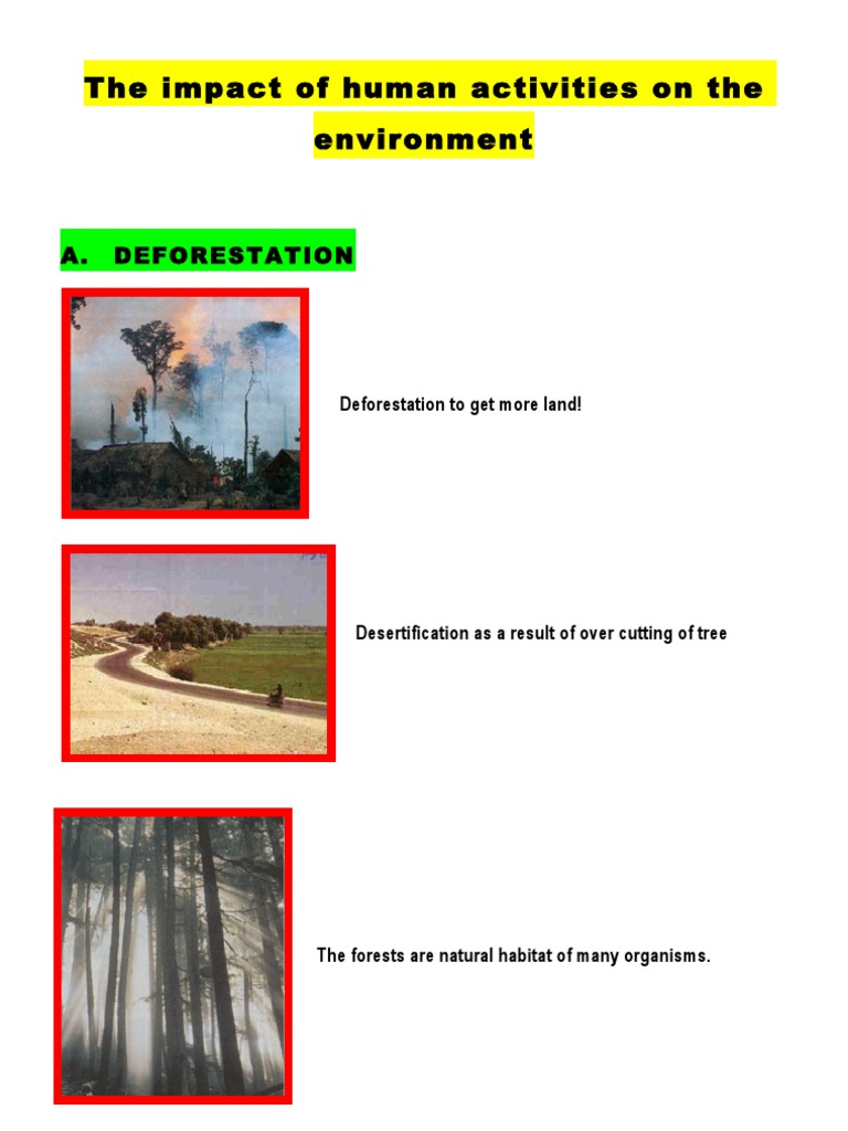 Environmental Protection | PDF | Human Impact On The Environment ...