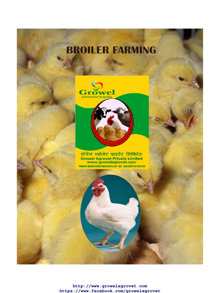 Broiler Farming Guide | PDF | Poultry Farming | Broiler