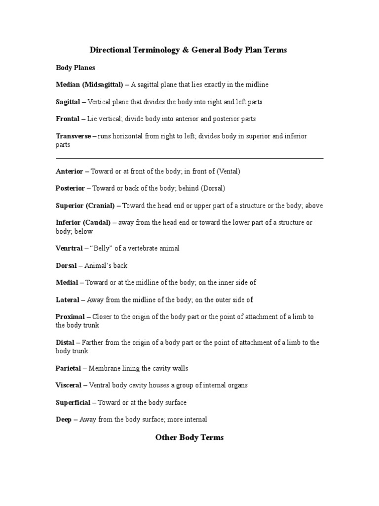 Basic Anatomy Terminology | PDF