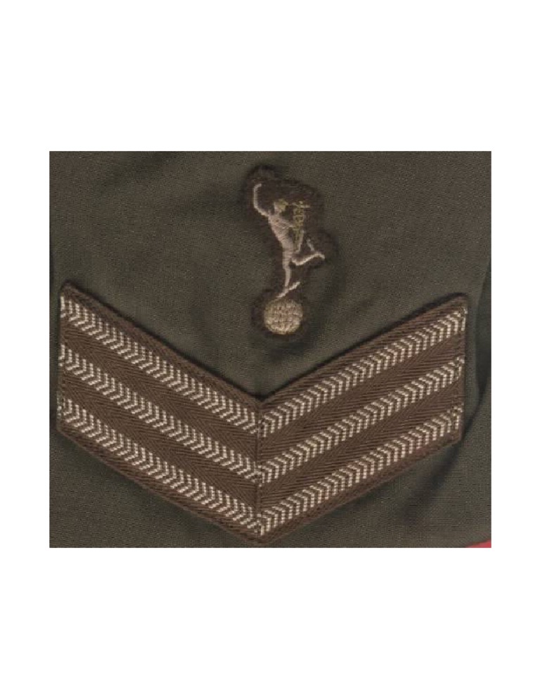 Royal Canadian Signal Corps | PDF | Business