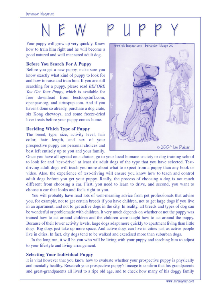 01 New Puppy | PDF | Dog Training | Dogs