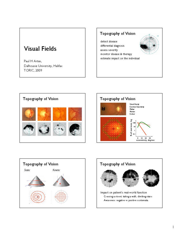 VisualFields (Toric09, Handout) | PDF | Neuropsychological Assessment ...