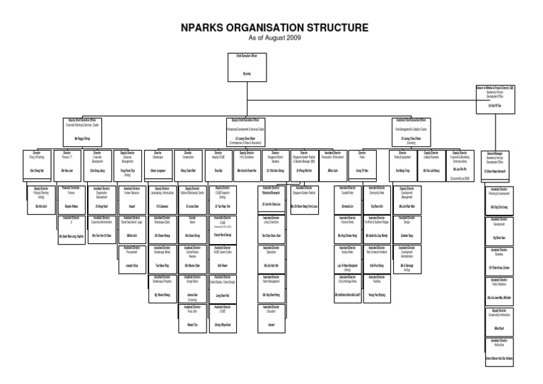 NParks Org Structure | Singapore | World Politics