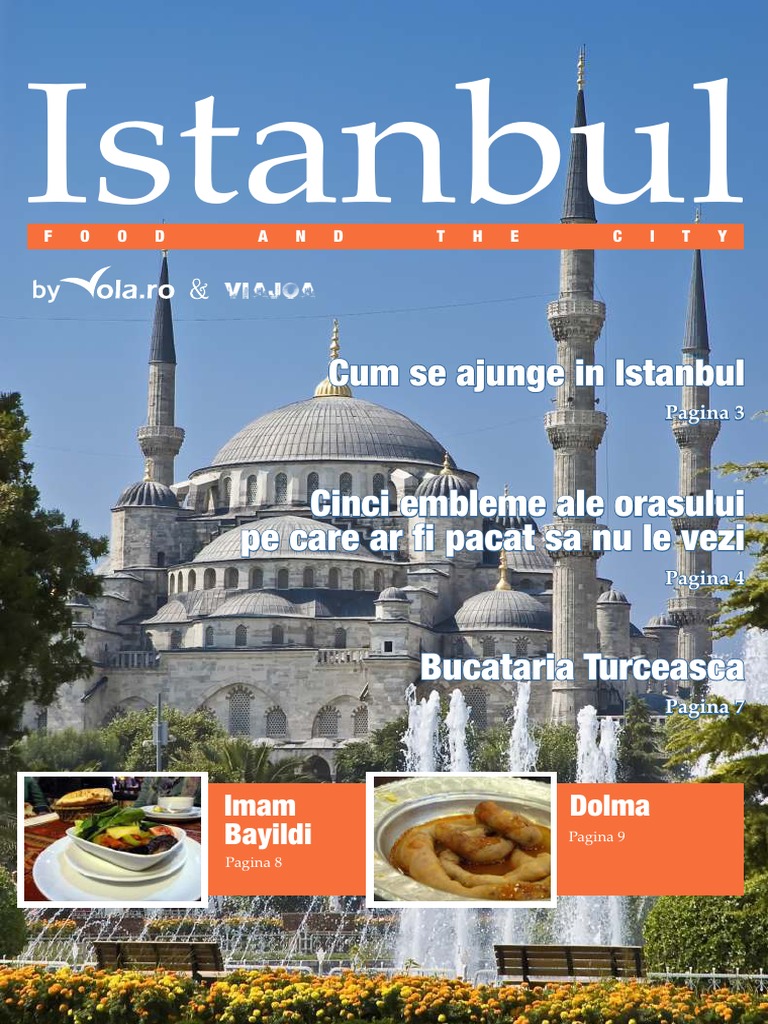 Istanbul | PDF