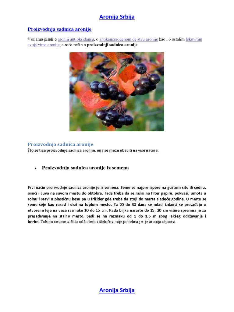 Proizvodnja Sadnica Aronije | PDF
