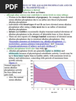 Gastrointestinal Physical Exam Checklist 1 | PDF