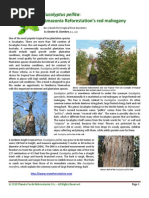Au SC 1671439210 Australian Plant Adaptations - Ver - 1 | PDF ...