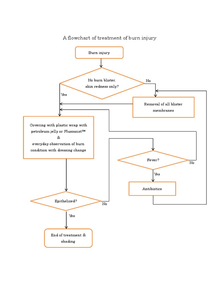 A Flowchart of Treatment of Burn Injury | PDF