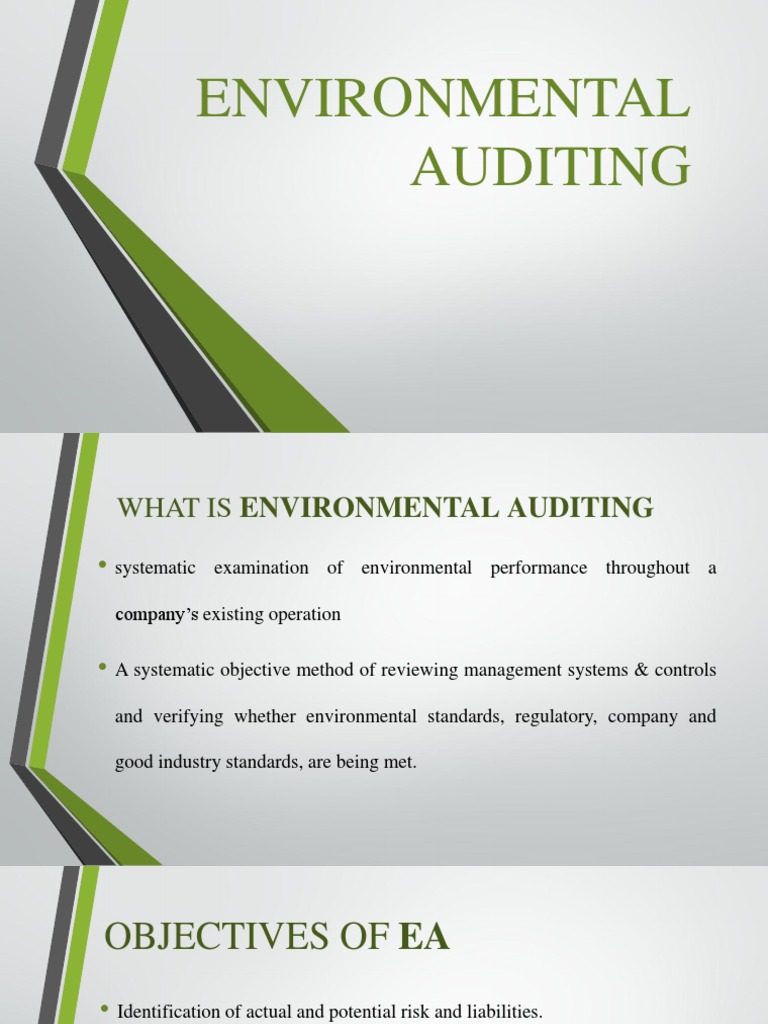 Environmental Audit | PDF | Business
