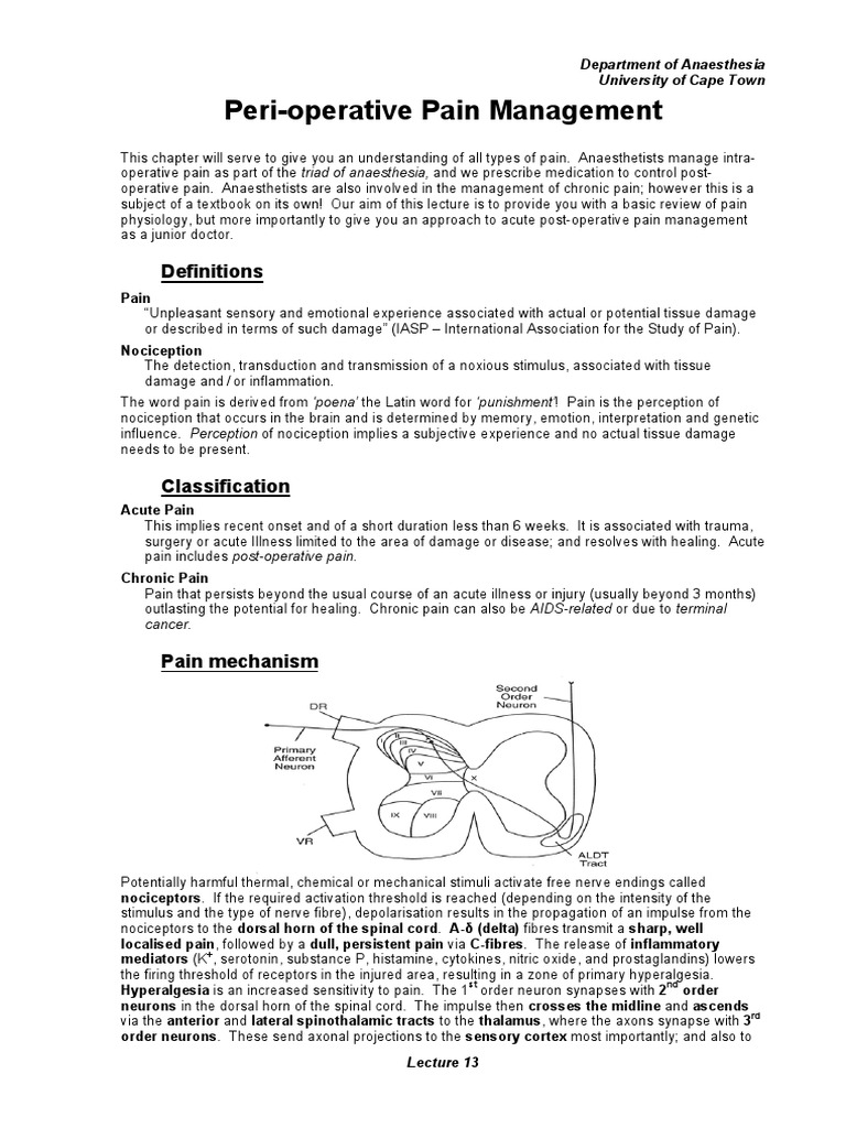 13 Pain Management PDF | PDF | Science & Mathematics