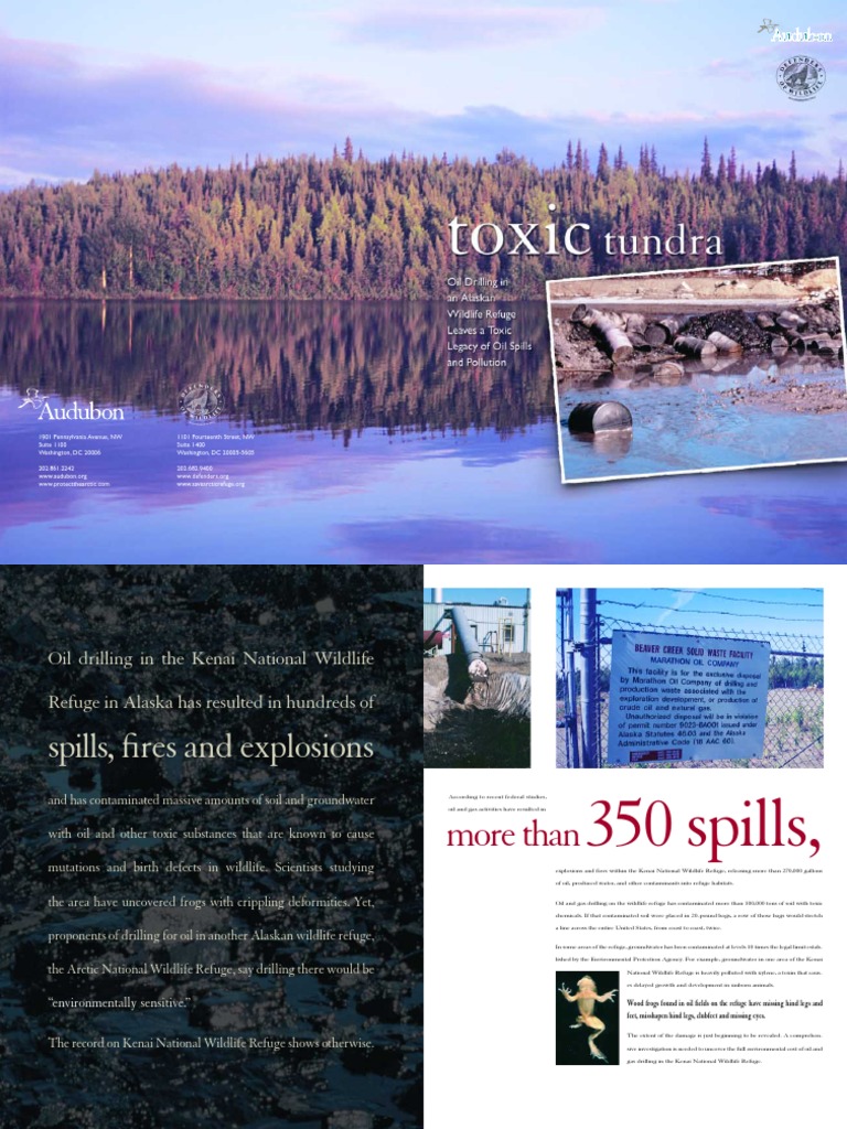 Toxic Tundra | PDF | Polychlorinated Biphenyl | Oil Spill