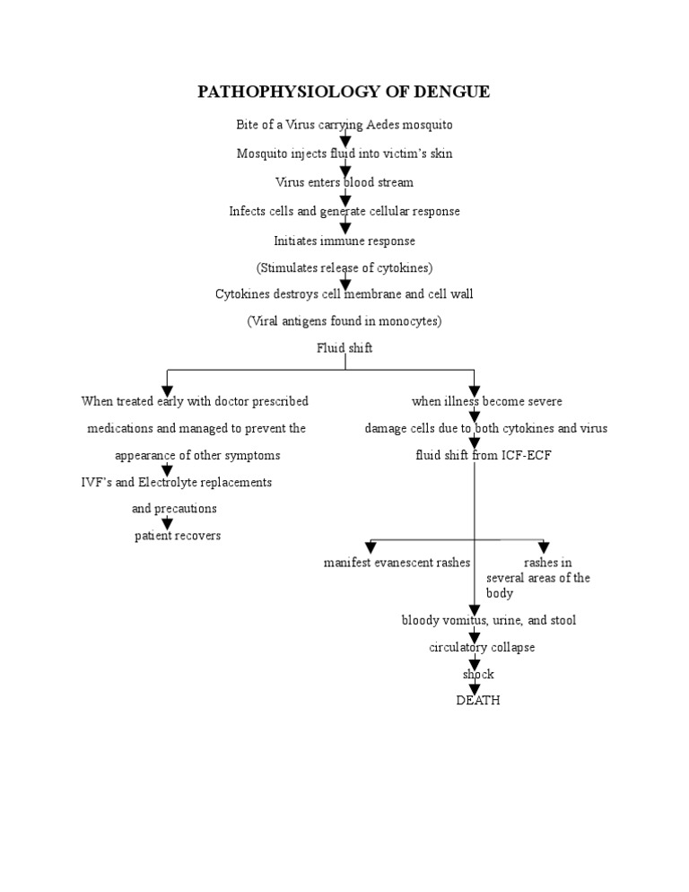 Pa Tho Physiology of Dengue | PDF