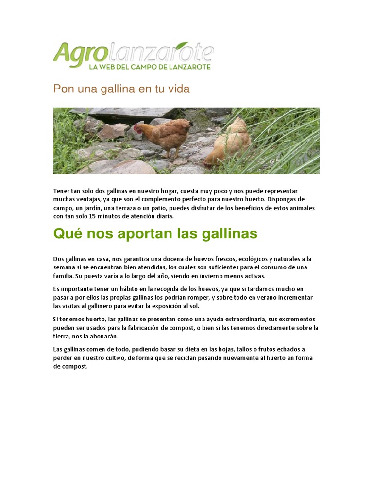 Pon Una Gallina en Tu Vida | PDF | Pollo | Compost