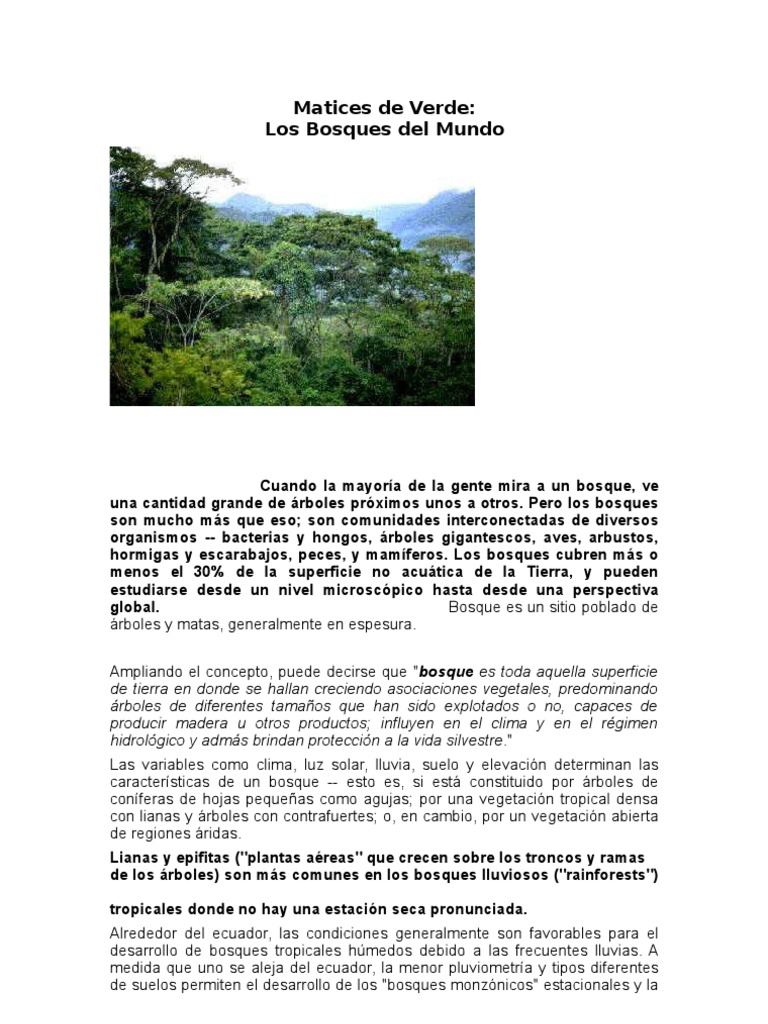 Matices de Verde | PDF | Los bosques | Selva