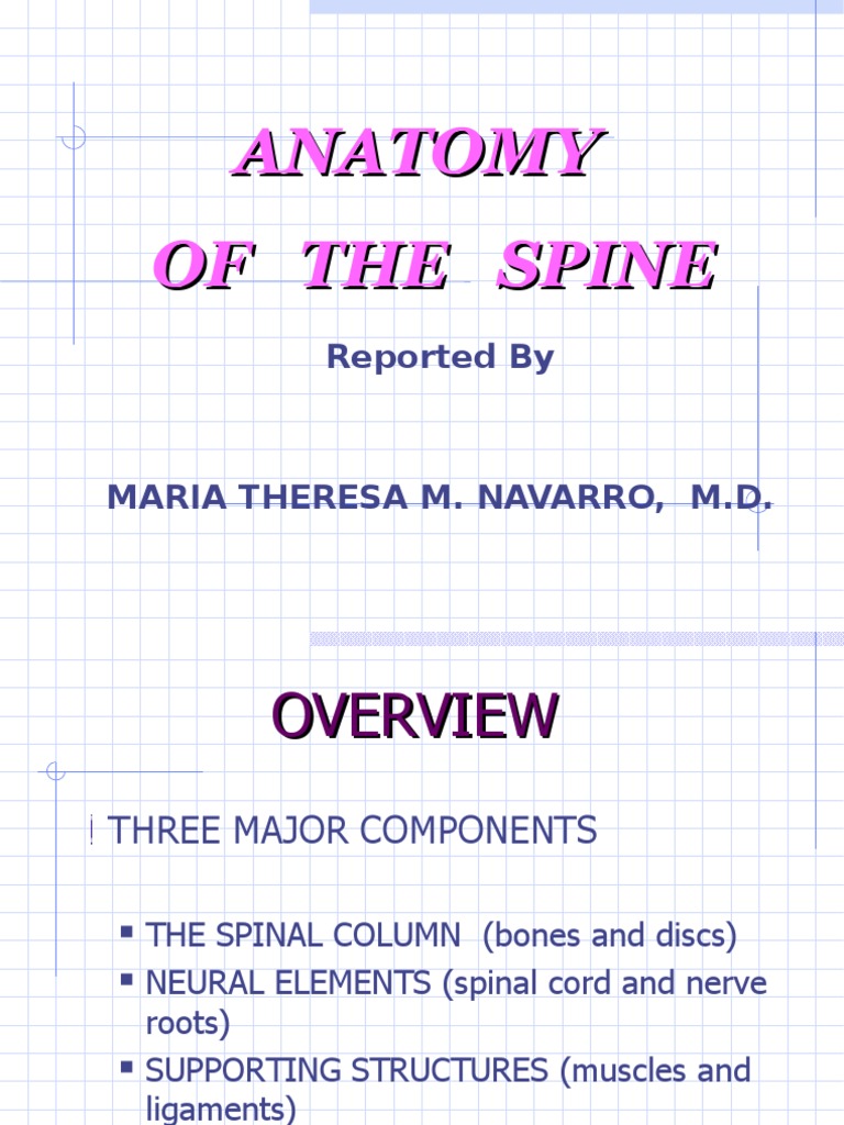 Anatomy of The Spine and Some Common Pathologies | PDF