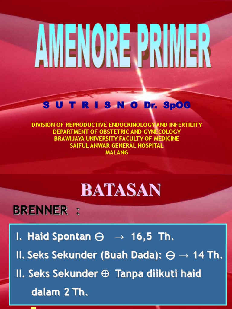 Amenore Primer | PDF