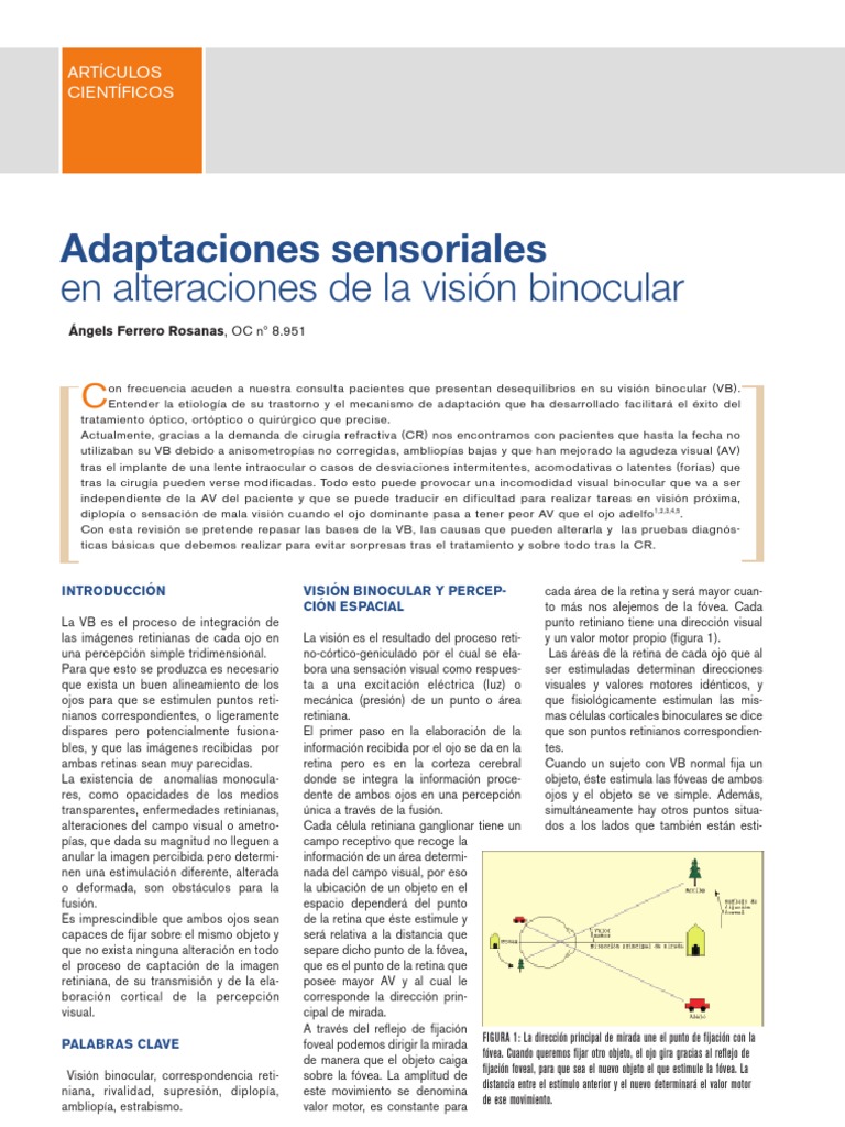 Estrab | PDF | Percepción visual | Ojo humano