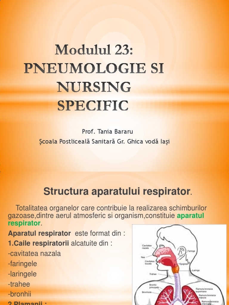 Pneumologie Anatomie - Curs 1 Nursing