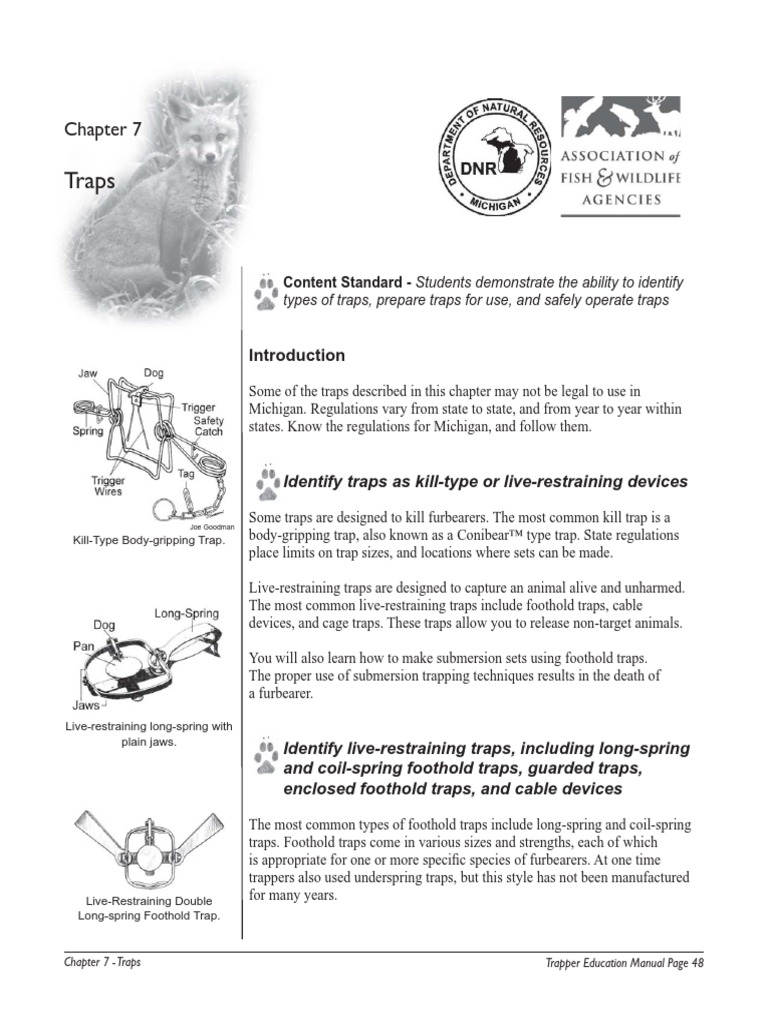 Traps: Content Standard - Students Demonstrate The Ability To Identify ...