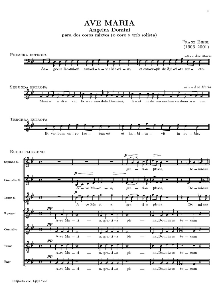 Franz Biebl - Ave Maria | PDF | Classical Composers | Musical Compositions