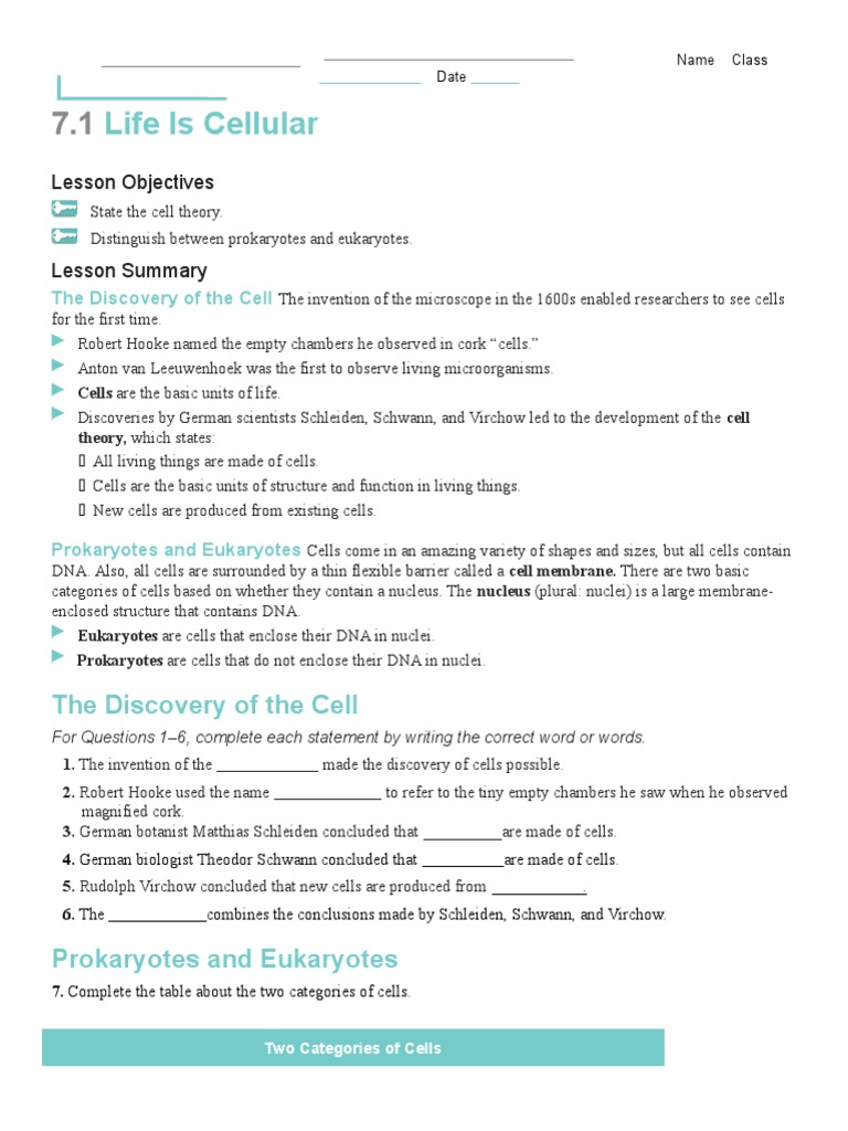 Life Is Cellular Lesson Summary | PDF | Cell (Biology) | Prokaryote