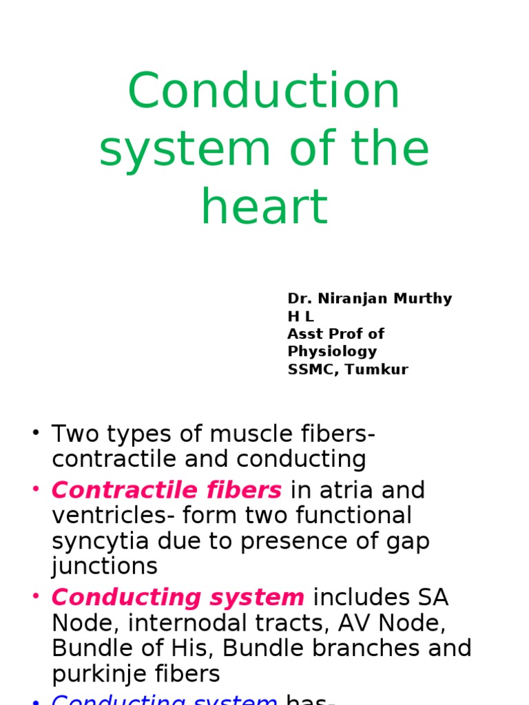 Conduction System of The Heart | PDF | Atrium (Heart) | Heart