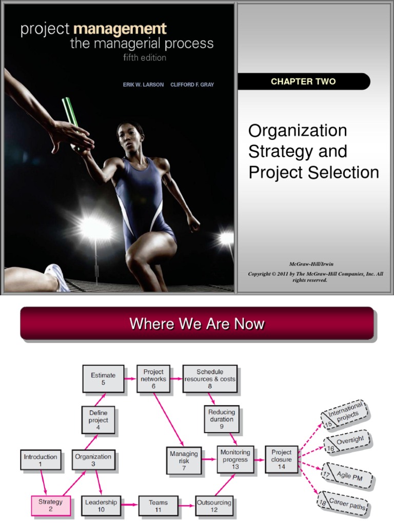 Chapter 2 - Organizational Strategy & Project Selection | PDF | Strategic Management | Net ...