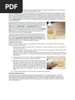 Antibacterial Testing via Disc Diffusion | PDF | Microbiology | Biology