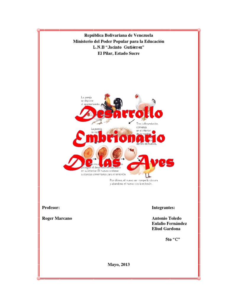 Ciclo de Vida de Las Aves | PDF | Huevo | Biología del desarrollo