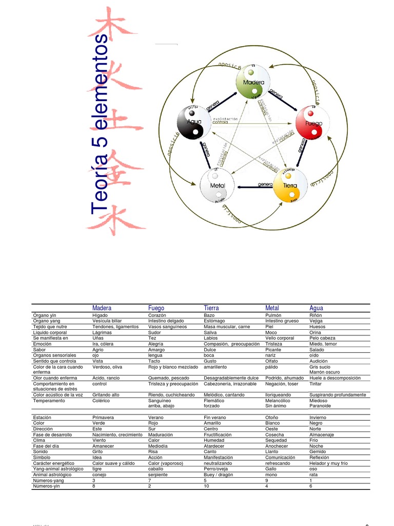 Teoria de Los 5 Elementos | Yin y yang | Menudencias