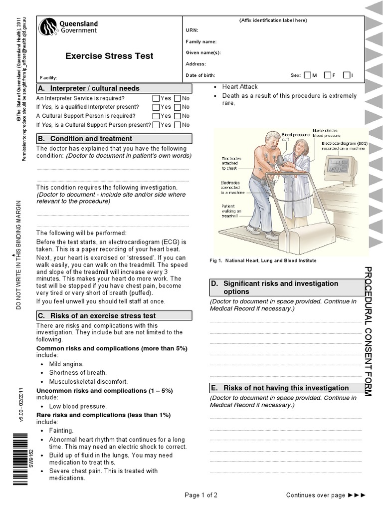 Exercise Stress Test | PDF | Heart | Angina Pectoris