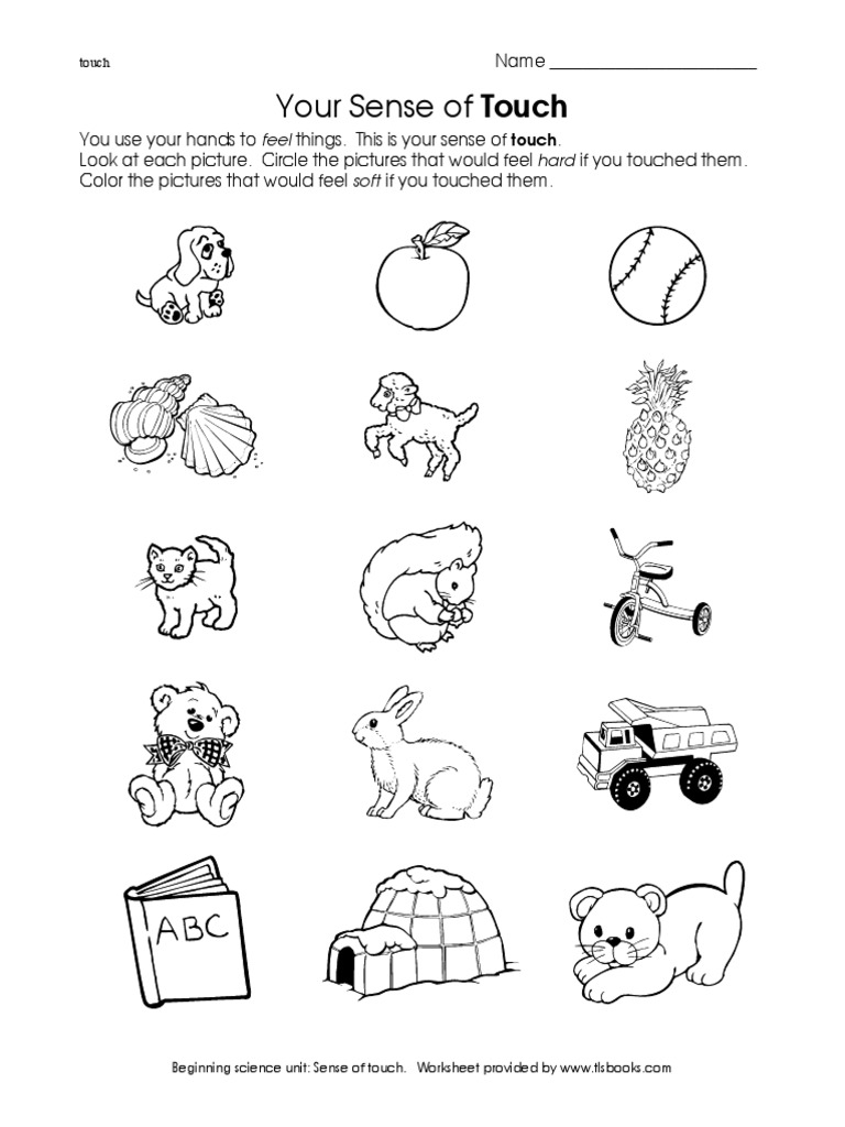Hard And Soft Objects Printable Worksheets