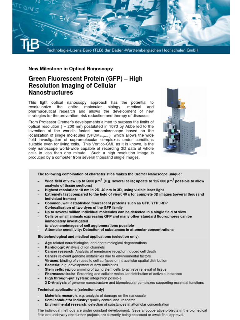 Green Fluorescent Protein (GFP) - High Resolution Imaging of Cellular ...