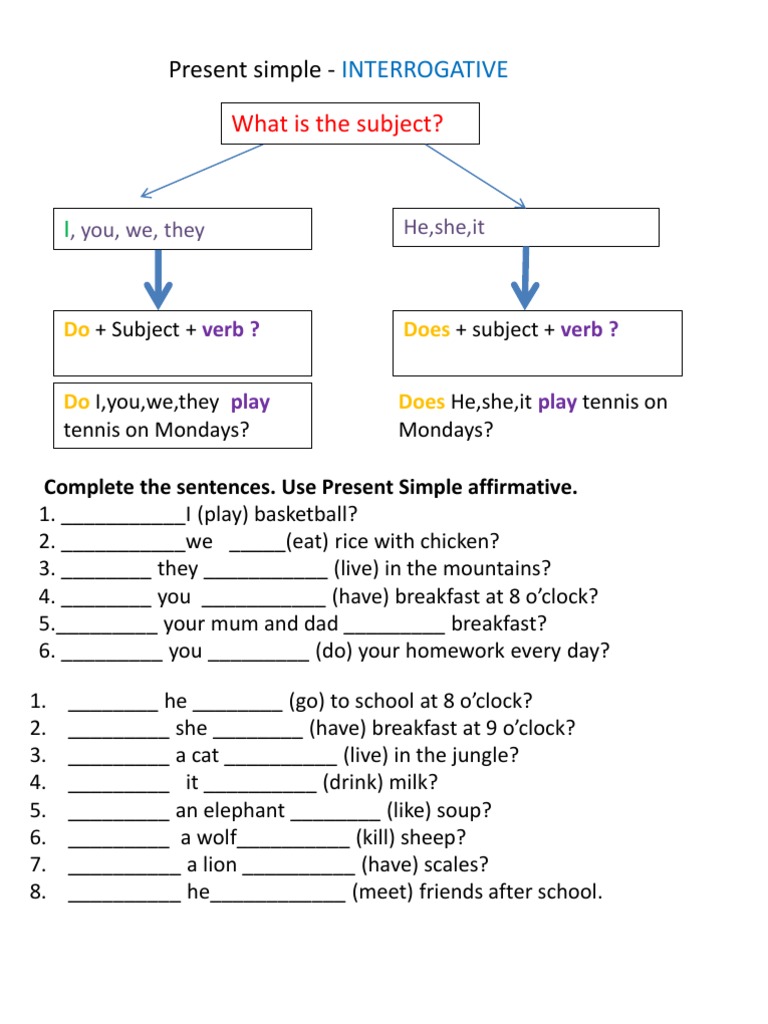 English - Present Simple Questions | PDF