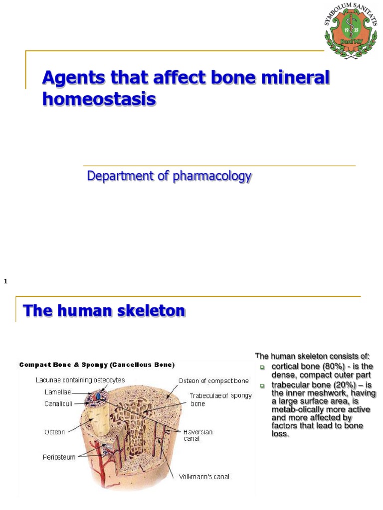 Bone Mineral Homeostasis | Bone | Osteoblast