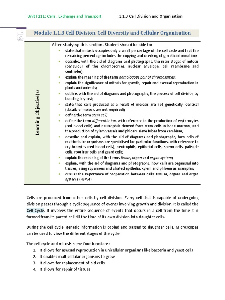 1.3 Cell Division, Diversity and Organisation | PDF | Mitosis | Tissue ...