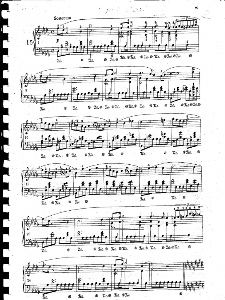 Chopin Raindrop Prelude | PDF