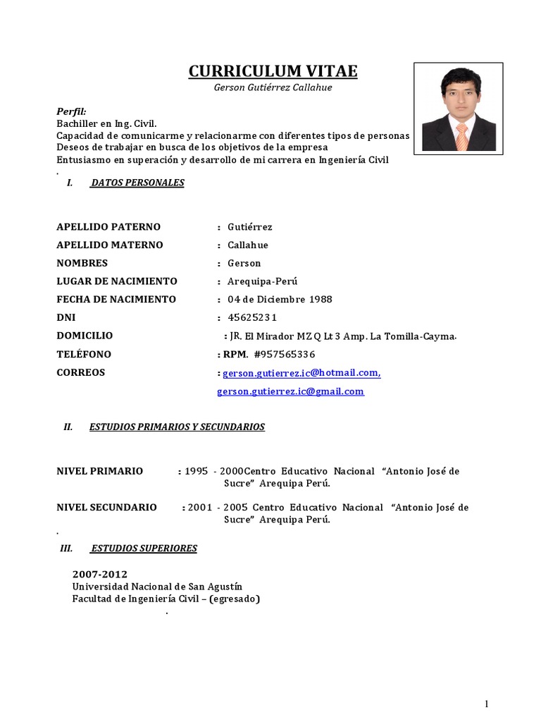 Curriculum Gerson | PDF | Ingeniero civil | Ingeniería