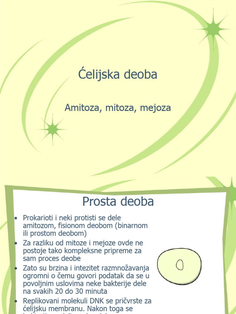 Celijska Deoba | PDF