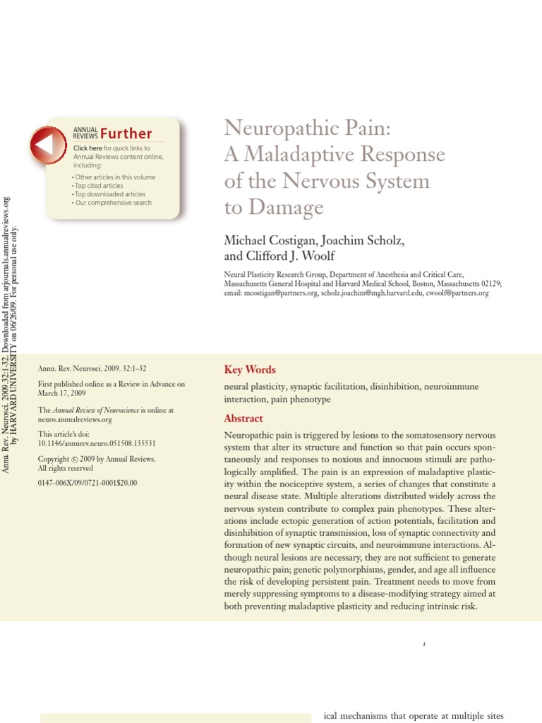 Neuropathic Pain: A Maladaptive Response of The Nervous System To ...