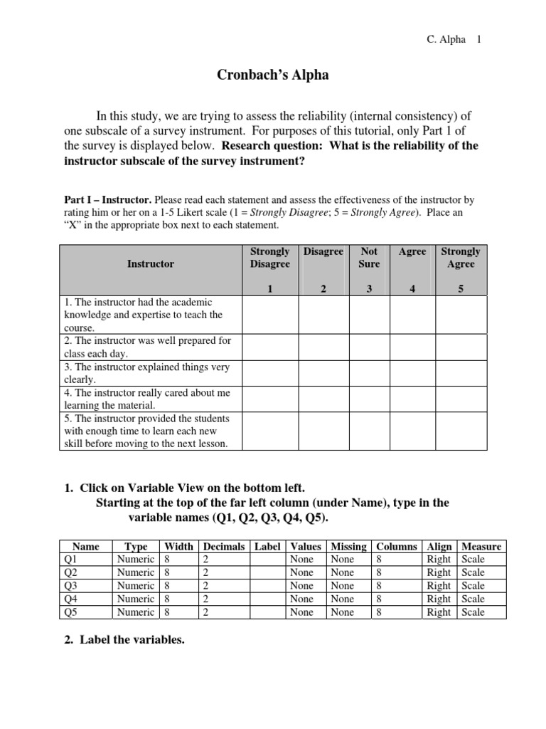 Cronbachs Alpha | Cronbach's Alpha | Survey Methodology