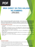 Pagbababuyan | PDF